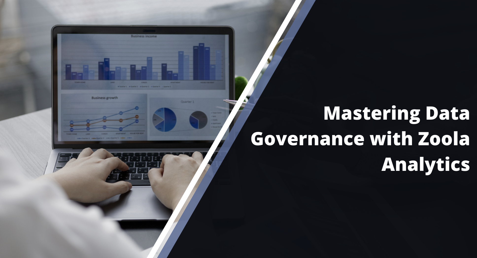 Mastering Data Governance with Zoola Analytics